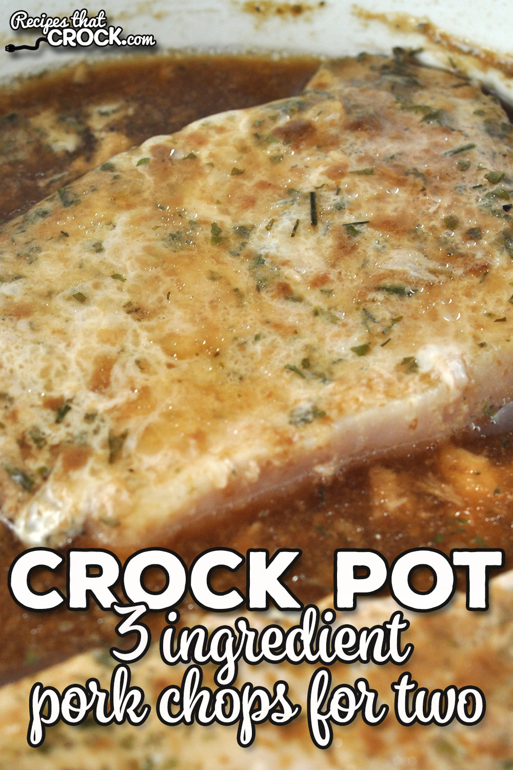 3 Ingredient Crock Pot Pork Chops for Two - Recipes That Crock!